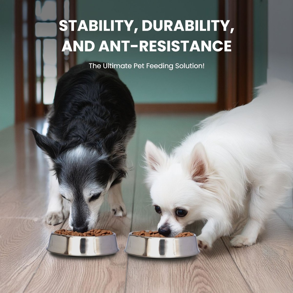 ICONIC PET Anti Ant Stainless Steel Non Skid Dog & Cat Bowl, 2 count, 2 ...