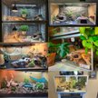 Temporarily Unavailable - ZEN HABITATS Meridian Enclosure with Wood ...