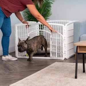 10 Best Plastic Dog Pens 2024: According to Reviews | Chewy