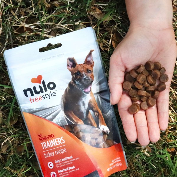 NULO Turkey Recipe Grain-Free Dog Training Treats, 16-oz bag - Chewy.com