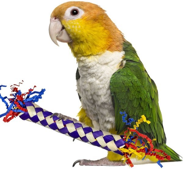 SUPER BIRD CREATIONS Firecracker Sticks Bird Toy, 5 count - Chewy.com