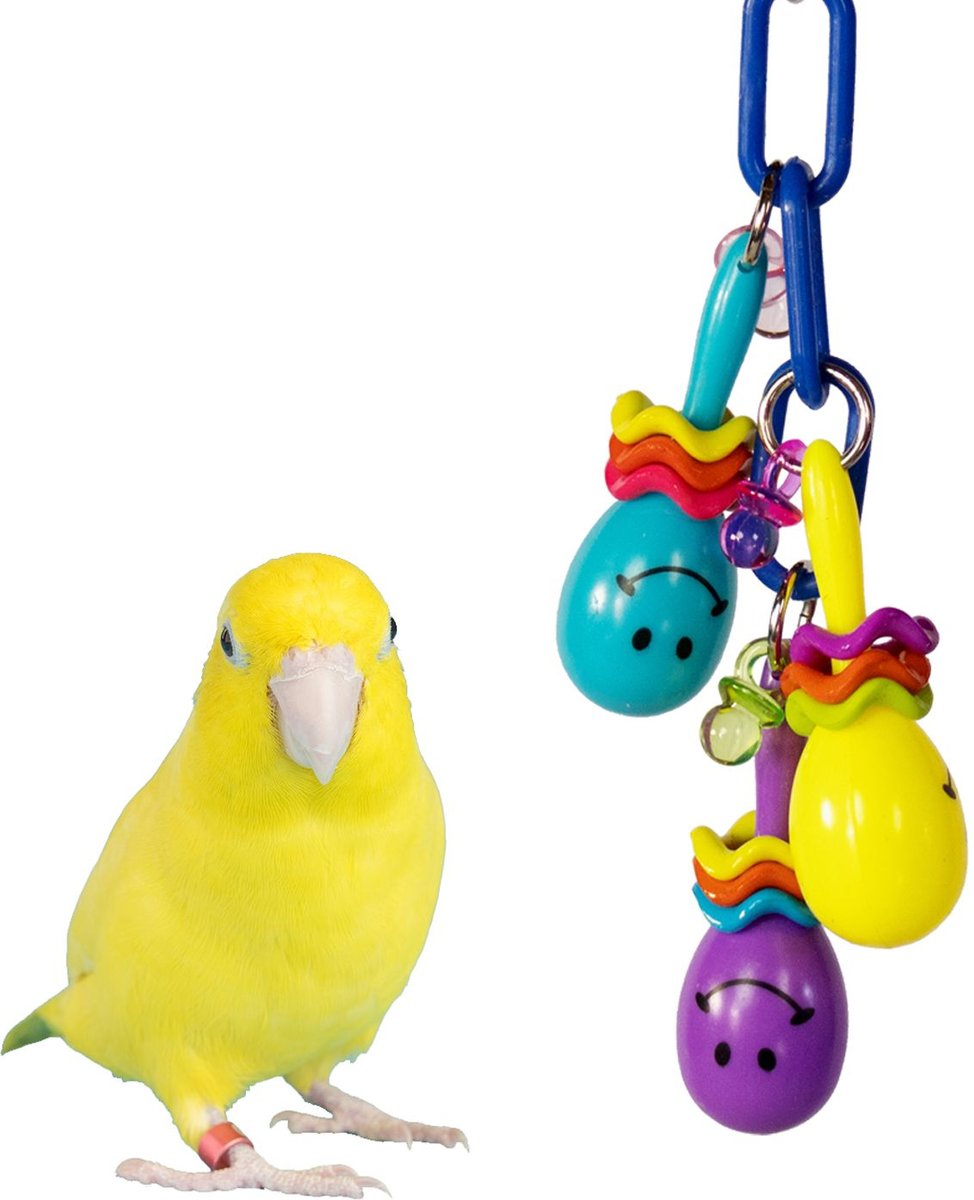 SUPER BIRD CREATIONS Maraca Mania Bird Toy - Chewy.com