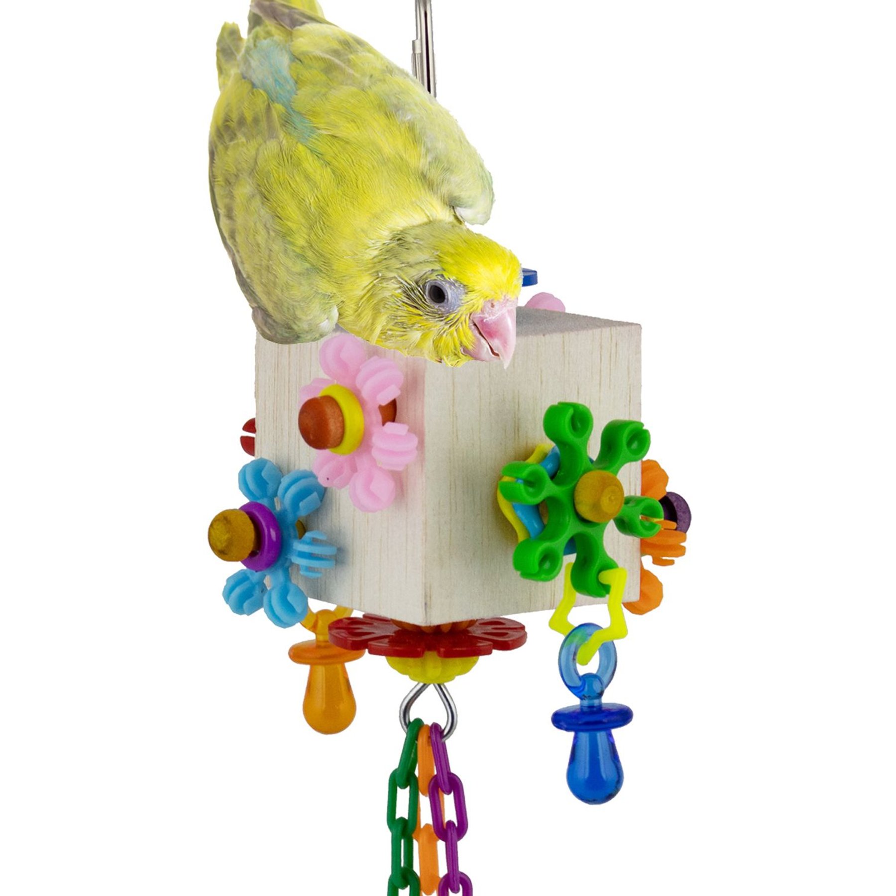 SUPER BIRD CREATIONS Dancing Daisies Bird Toy - Chewy.com