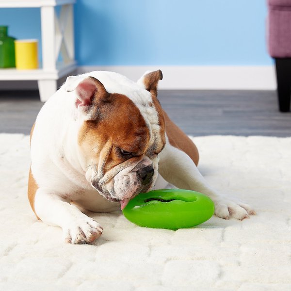 STARMARK Treat Dispensing Pickle Pocket Tough Dog Toy - Chewy.com