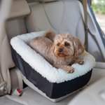 SNOOZER PET PRODUCTS Lookout 2 Dog Car Seat, Black Diamond, Small ...