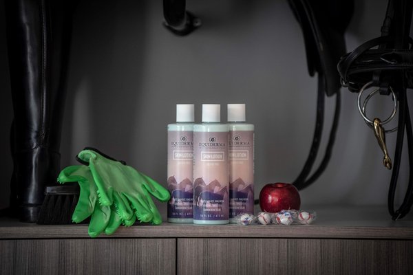 EQUIDERMA Skin Lotion Horse First Aid, 16-fl oz bottle - Chewy.com