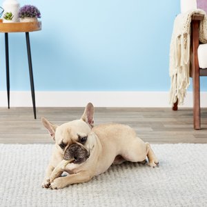 10 Best Dog Antlers 2024: According to Reviews | Chewy