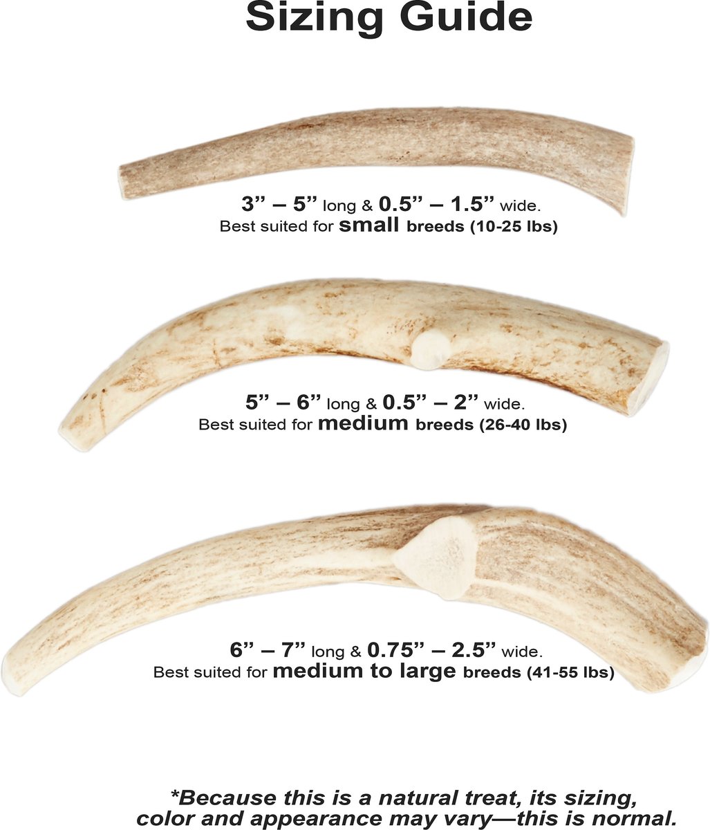 BIG SKY ANTLER CHEWS Natural Elk Antler Dog Chews, Medium - Chewy.com