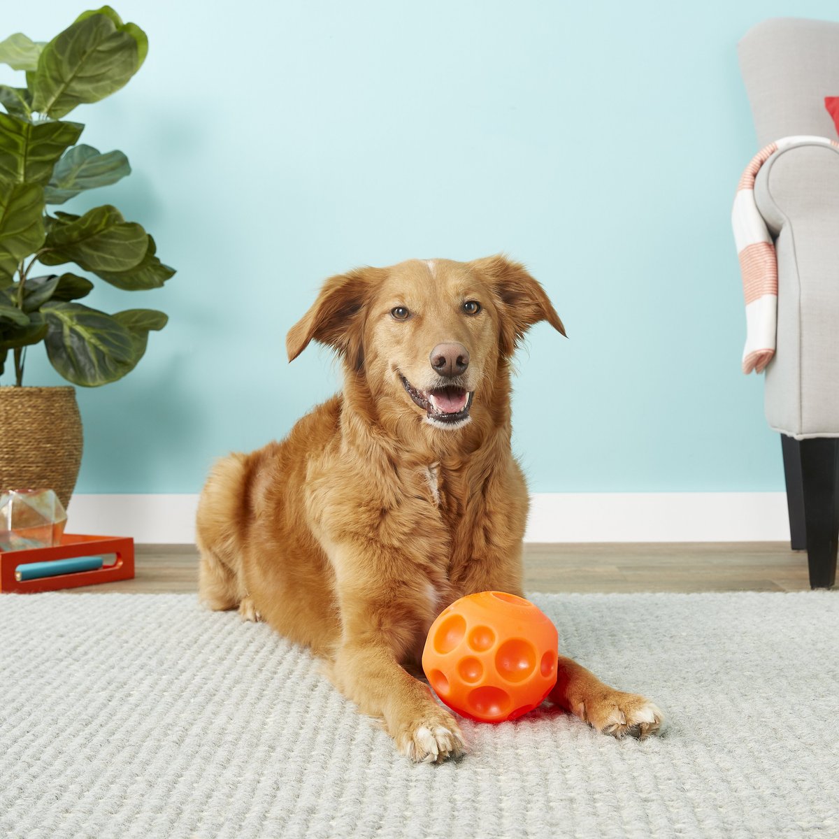 OMEGA PAW Tricky Treat Ball Dog Toy, Large - Chewy.com