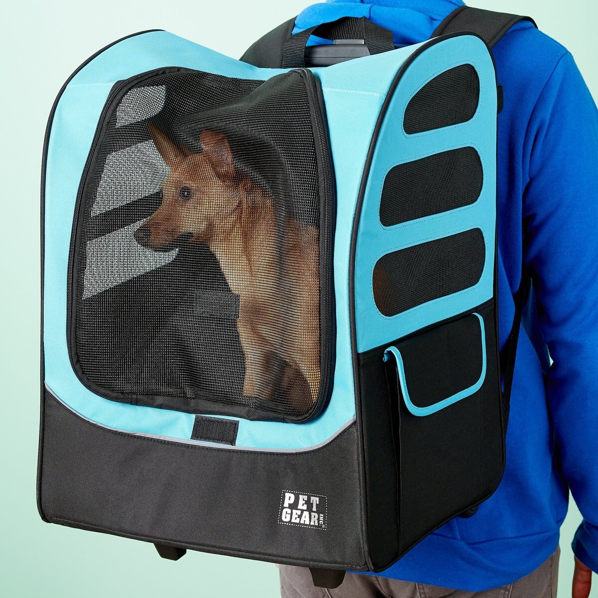 PET GEAR I-GO Plus Traveler Dog & Cat Backpack & Rolling Carrier, Ocean ...