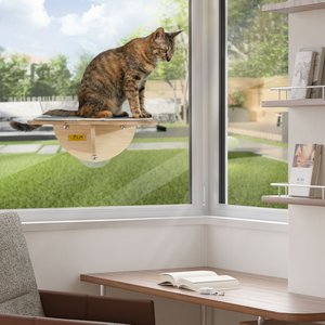 10 Best Cat Window Perches 2025: According to Reviews | Chewy
