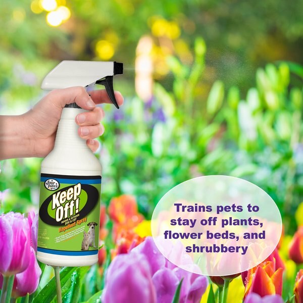 Discontinued - FOUR PAWS Keep Off! Outdoors & Indoor Cat Repellent ...