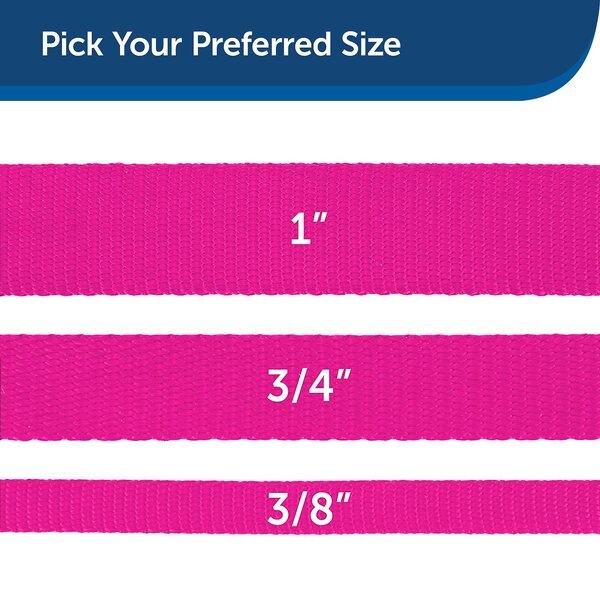 PETSAFE Nylon Dog Leash, Raspberry, 6-ft long, 3/4-in wide - Chewy.com
