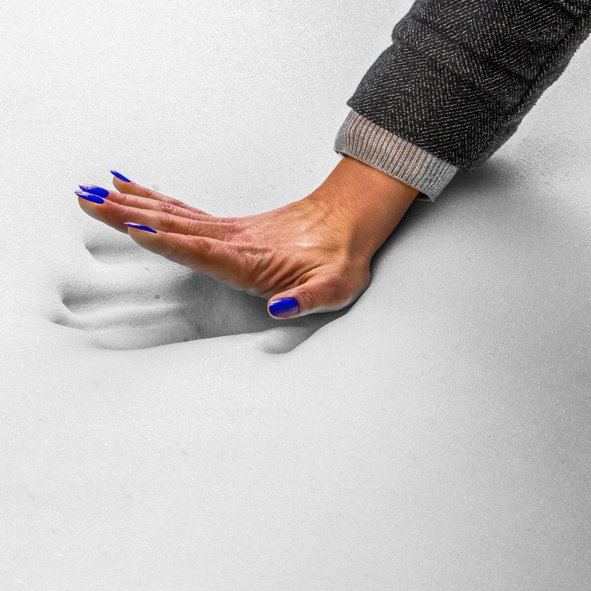 Out of Stock - PRECIOUS TAILS High Density Foam Scalloped Sherpa Top 4 ...