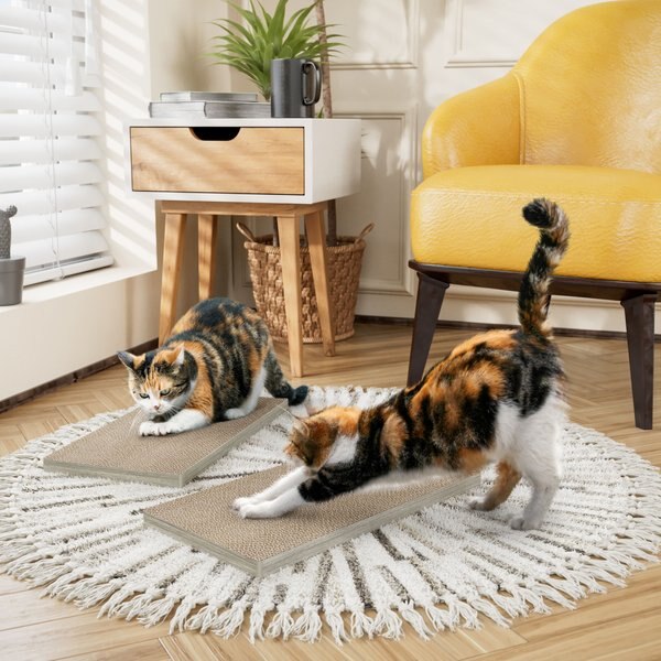 WAY BASICS Premium Tunnel Cat Scratcher, Medium, White - Chewy.com