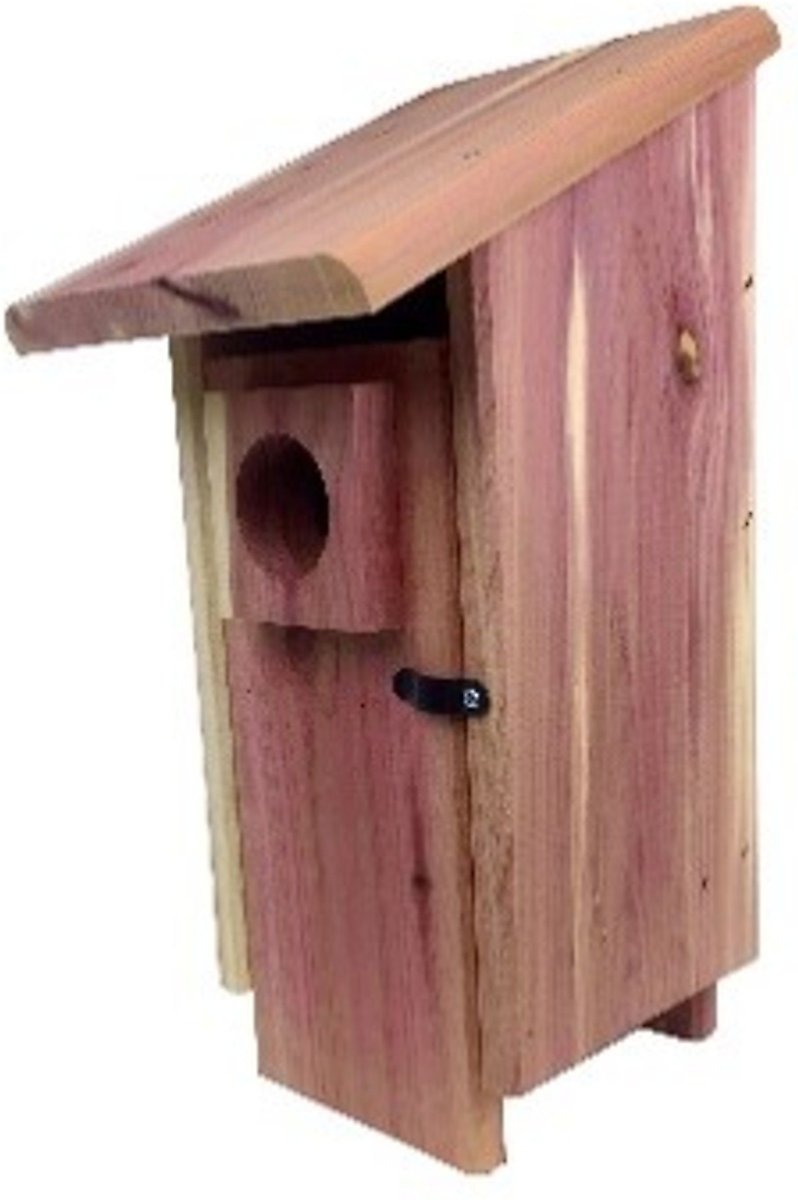 PENNINGTON Pride Cedar Predator Guard Bird House - Chewy.com