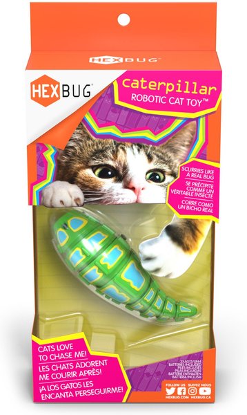 HEXBUG Caterpillar Cat Toy - Chewy.com
