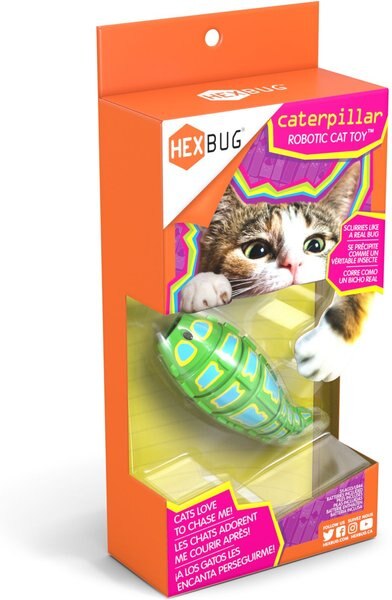 HEXBUG Caterpillar Cat Toy - Chewy.com