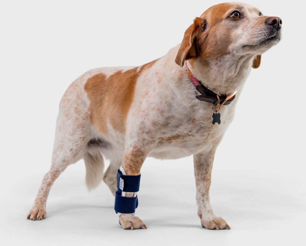 BALTO Joint Carpal Dog Compression Band, Large - Chewy.com