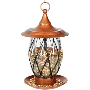 EXHART Solar Bronze Metal & Glass Bird Feeder - Chewy.com