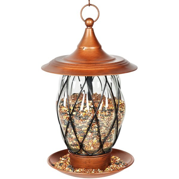 EXHART Solar Bronze Metal & Glass Bird Feeder - Chewy.com