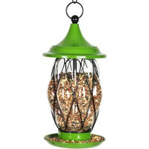 EXHART Tangerine Metal Wire & Glass Bird Feeder, Orange - Chewy.com
