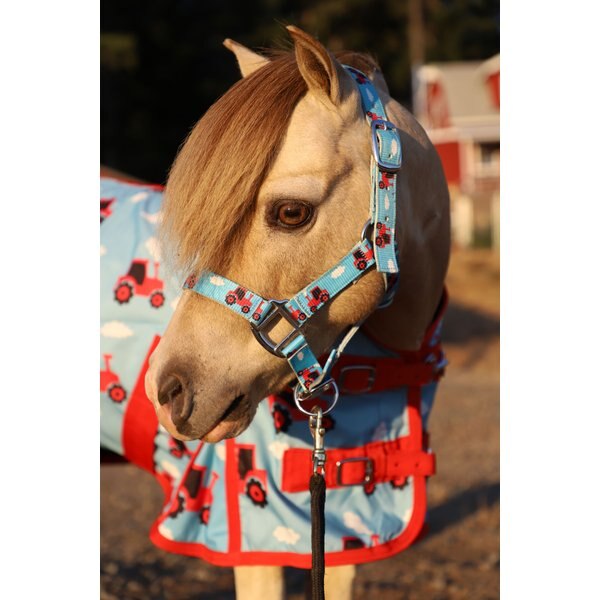 Out of Stock - STAR POINT HORSEMANSHIP Mini-Pony-Livestock Printed ...