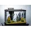 GLOFISH Decor Heater & Filter Aquarium Kit with LED Lights, 20-gal ...