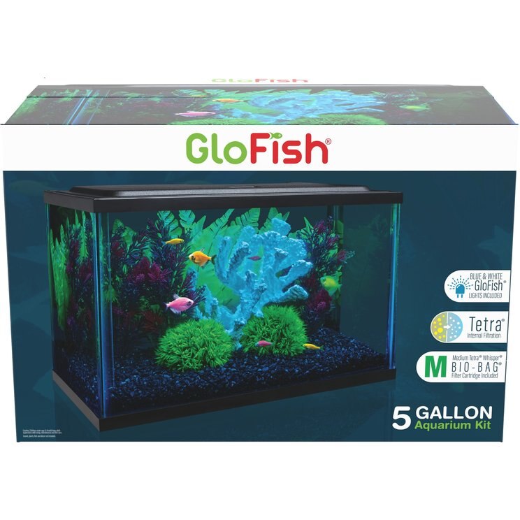 GloFish - Free shipping | Chewy