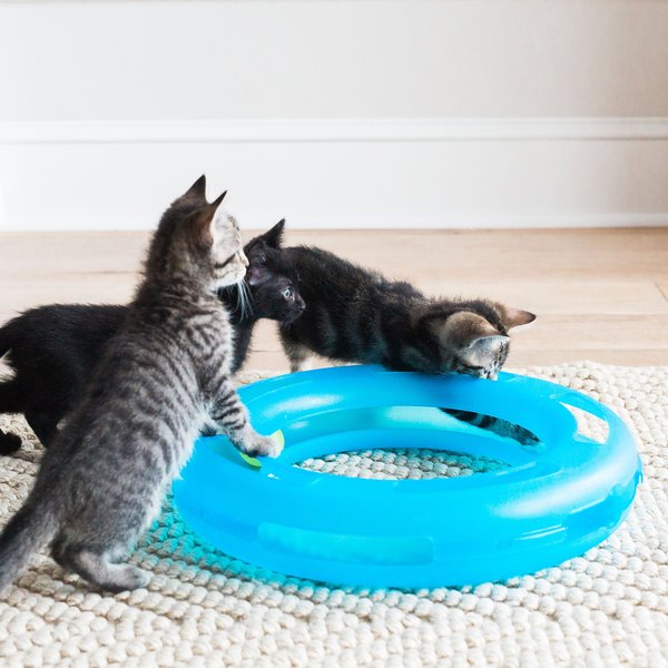 FAT CAT Crazy Circle Cat Toy, Large - Chewy.com