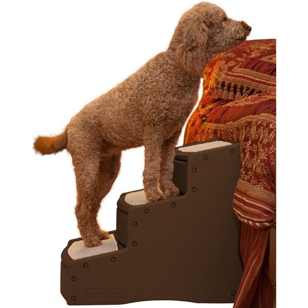 PET GEAR Easy Step III Extra Wide Cat & Dog Stairs, Chocolate - Chewy.com