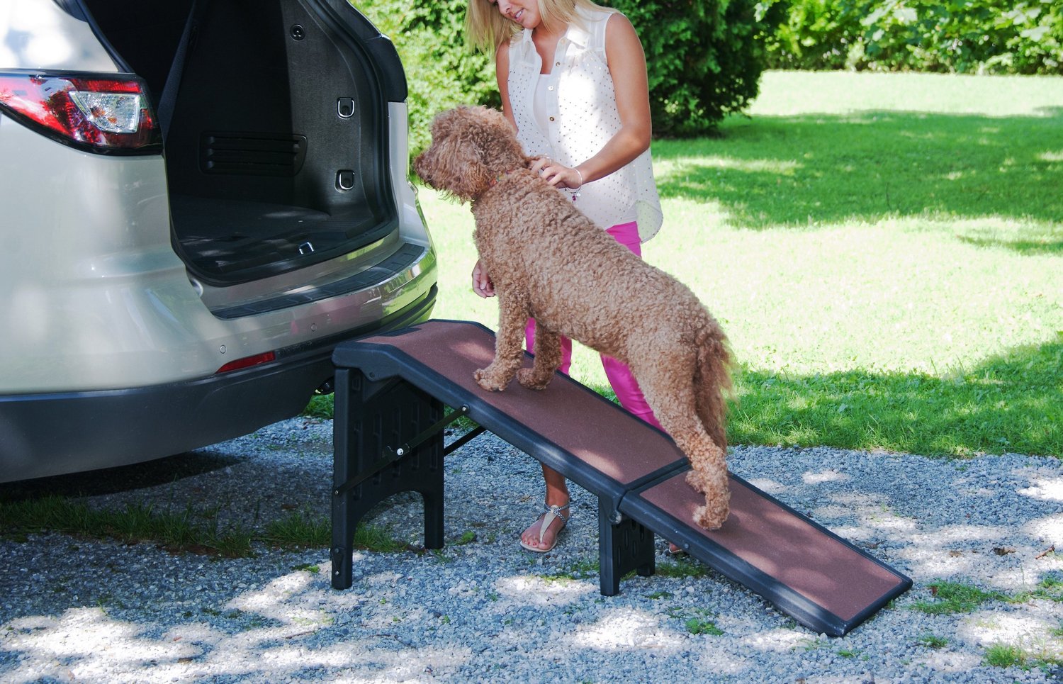 PET GEAR Free-Standing Extra Wide Dog Car Ramp, X-Large Ramp - Chewy.com