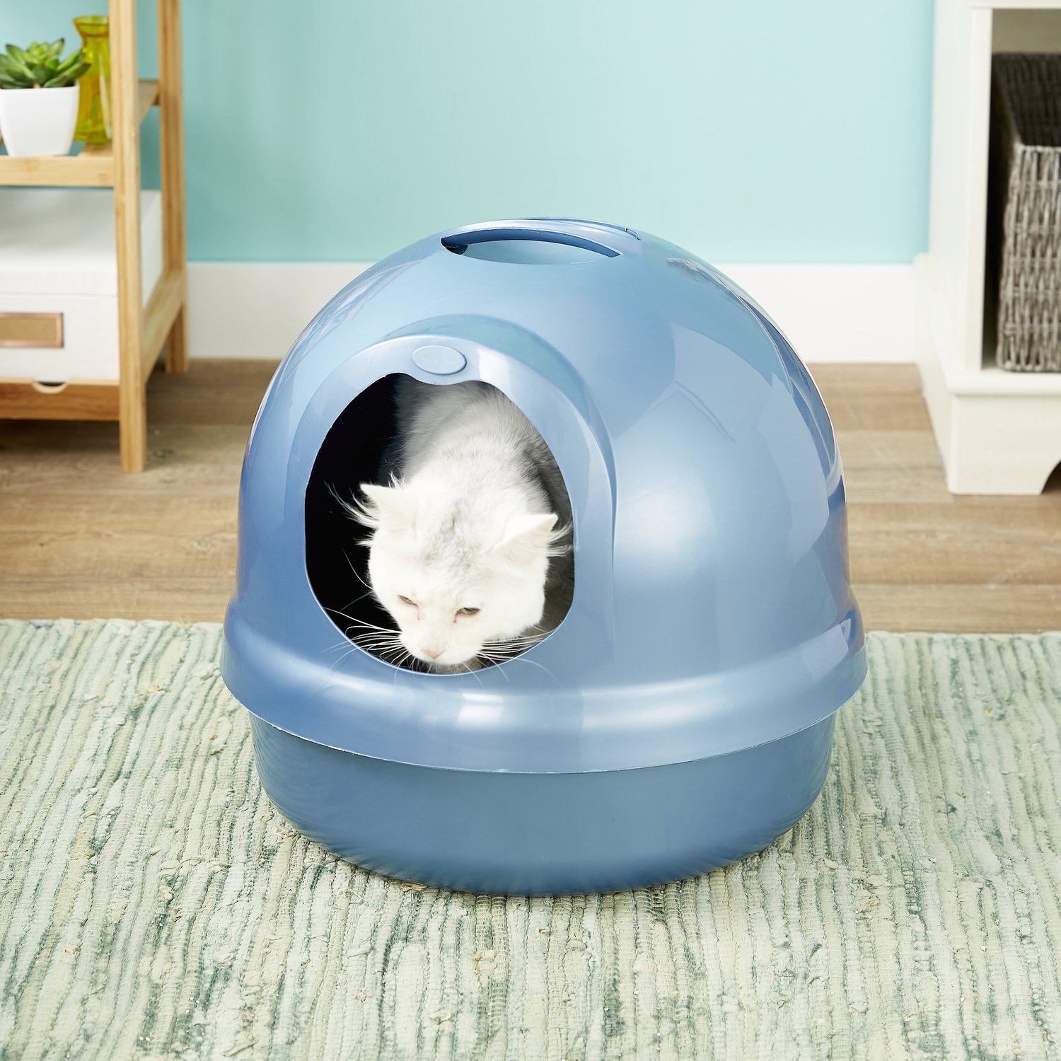 BOODA Dome Litter Box, Pearl Peacock - Chewy.com