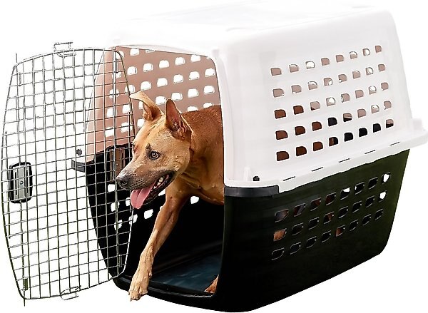 PETMATE Compass Dog & Cat Kennel, White, X-Large - Chewy.com PETMATE Compass Dog & Cat Kennel, White, X-Large - Chewy.com