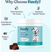 PAWFY Eye Support Peanut Butter Flavor Supplement for Dogs, 30 count ...