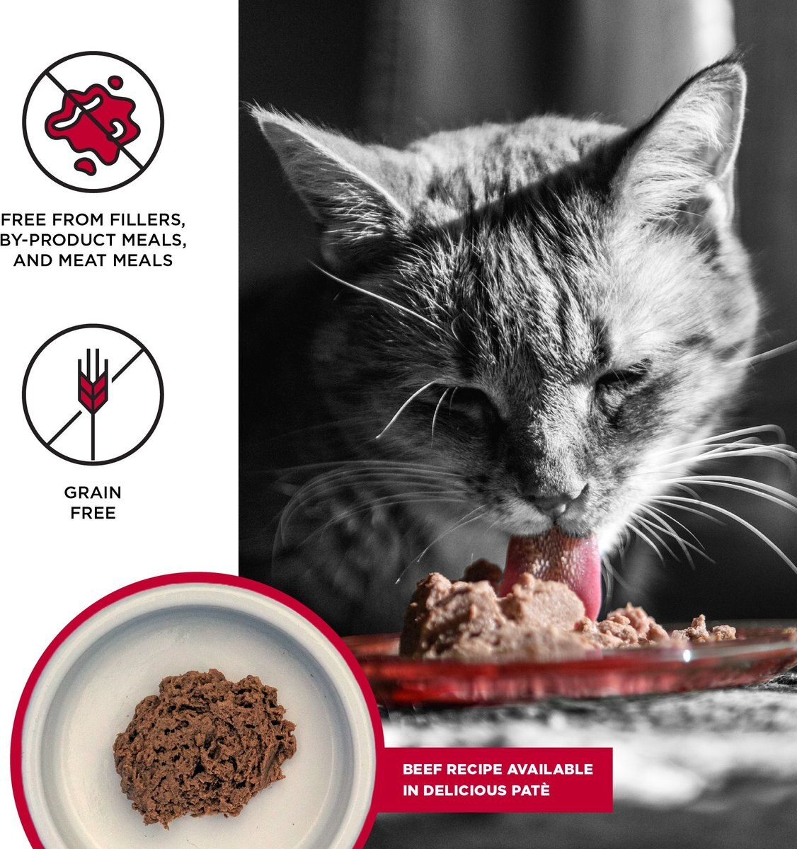 Out of Stock - BIXBI Liberty Beef Pate Recipe Grain-Free Wet Cat Food ...