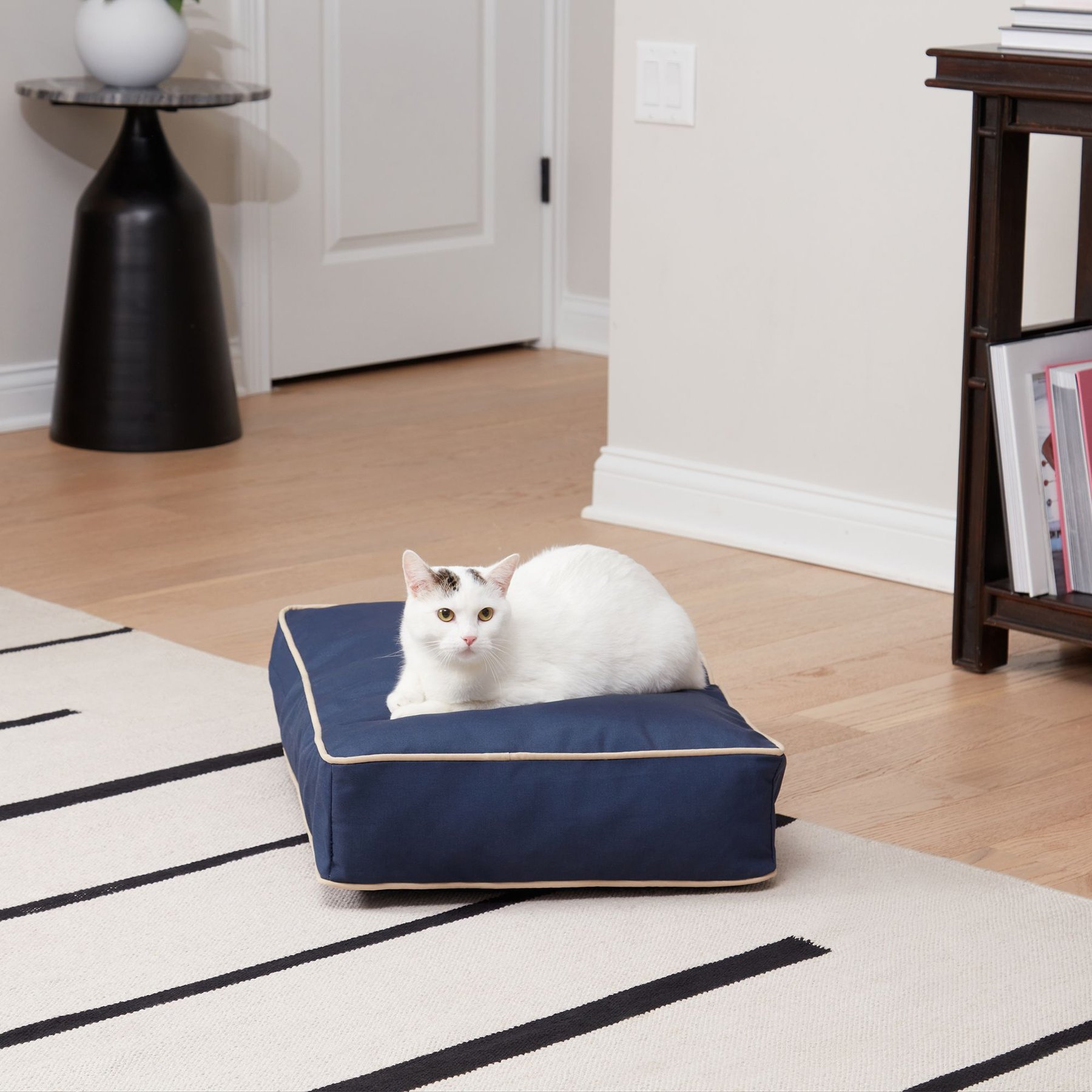 HAPPY HOUNDS Stella Indoor/Outdoor Rectangle Cat Bed, Navy, X-Small ...