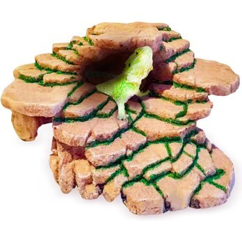 Leopard Gecko Habitat (Free Shipping) | Chewy