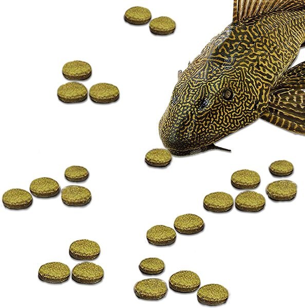 SUNGROW Algae Wafers Bottom Feeder, Snail & Pleco Sinking Fish Food, 2. ...