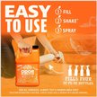 ANGRY ORANGE RTU Orange Scented Carpet Odor Eliminator, 128-fl oz ...