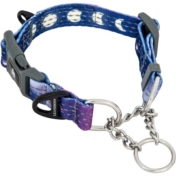 MARTINGALE COLLARS FOR SMALL DOGS (Free Shipping) | Chewy
