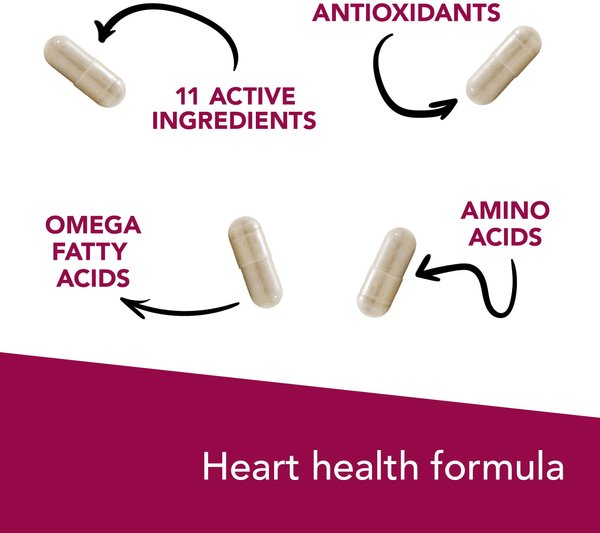 VETRISCIENCE Cardio Strength Capsules Heart Supplement for Cats & Dogs ...