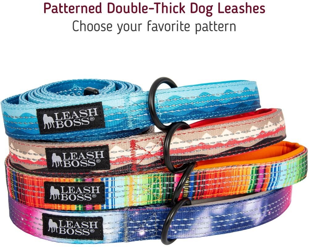 LEASH BOSS Patterned Standard Dog Leash, 6-ft long, Purple/Pink - Chewy.com