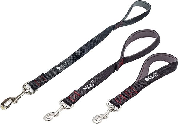 LEASH BOSS Padded Handle Short Dog Leash, Black, 24-in - Chewy.com