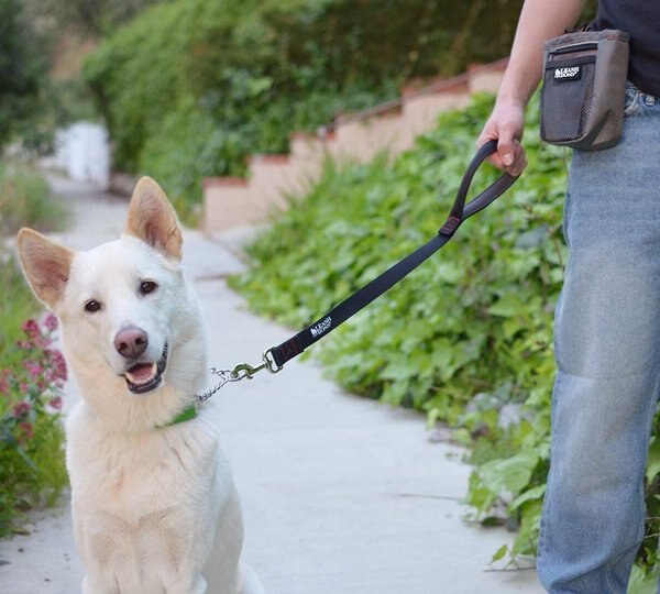 LEASH BOSS Padded Handle Short Dog Leash, Black, 24-in - Chewy.com