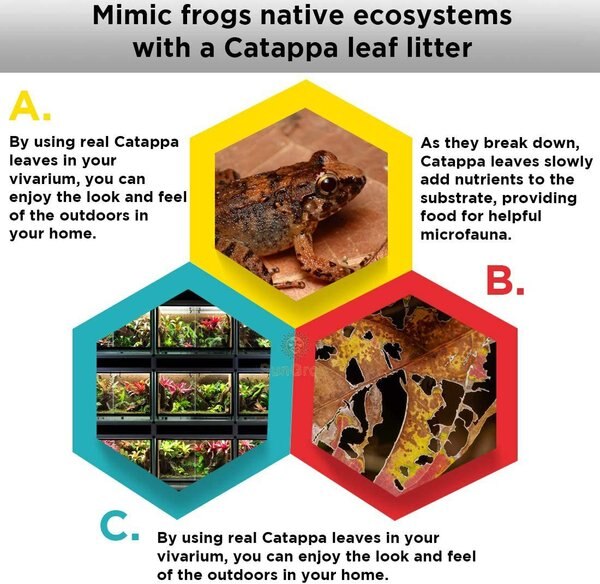 SUNGROW Mini Catappa Frog & Gecko Leaf Litter, Bioactive Substrate for ...