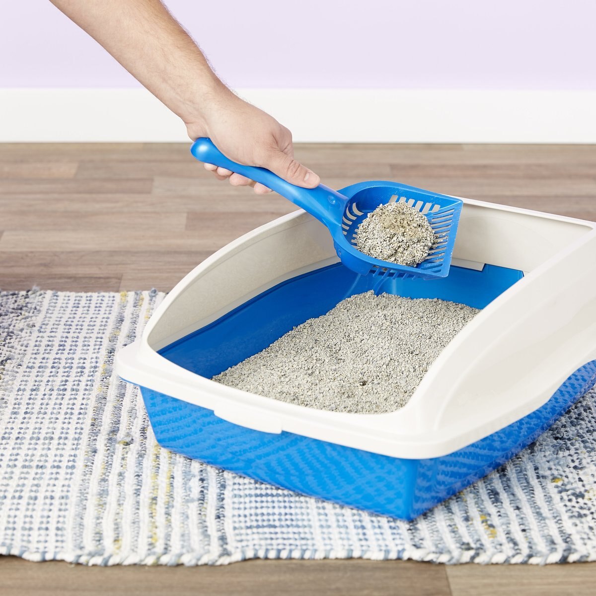 DR. ELSEY'S Classic Unscented Clumping Clay Cat Litter, 18-lb bag ...