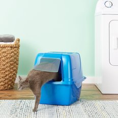 Cat Litter Boxes, Pans & Trays (Free Shipping) | Chewy