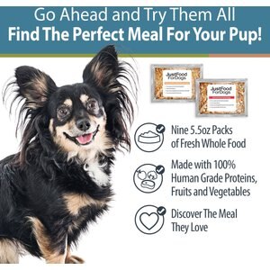 10 Best Human-Grade Dog Food 2024: According to Reviews | Chewy
