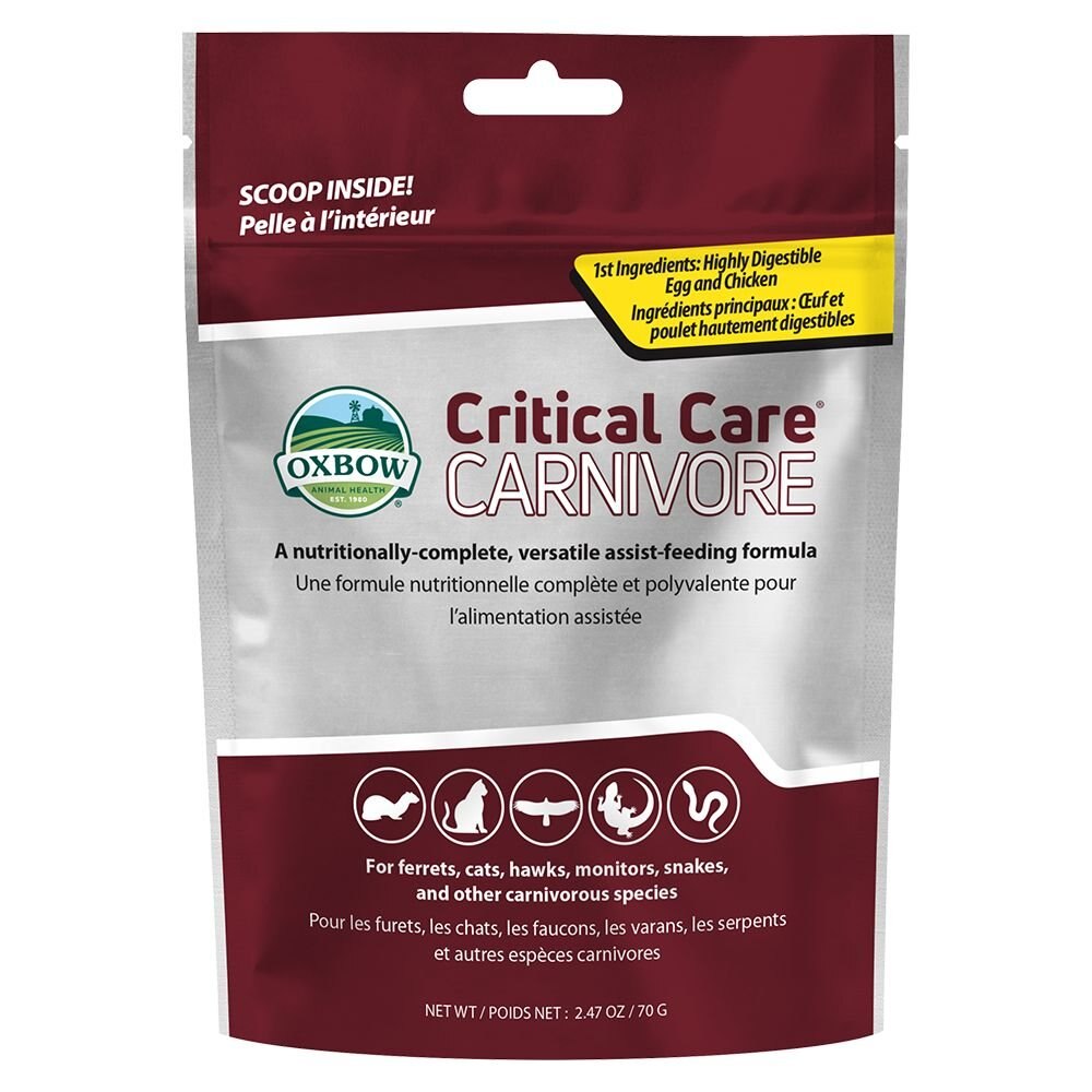OXBOW Critical Care Carnivore Small-Pet Supplement Customer Questions ...